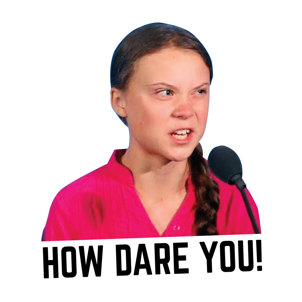 Greta How Dare You Sticker – Stickafy